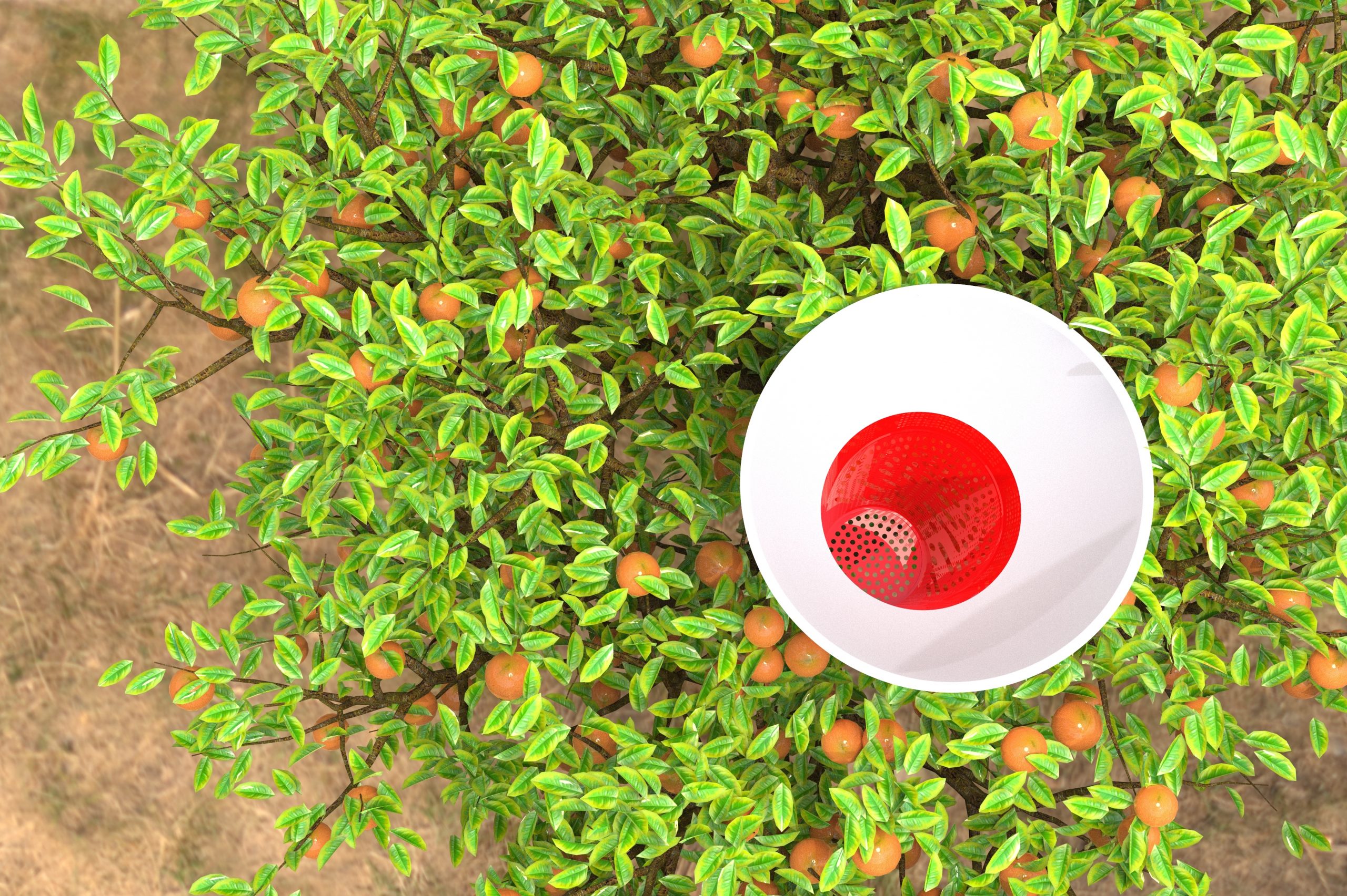 OPTI-SKYLIGHT BY OPTI-HARVEST – Pulse Design Group – Product Design