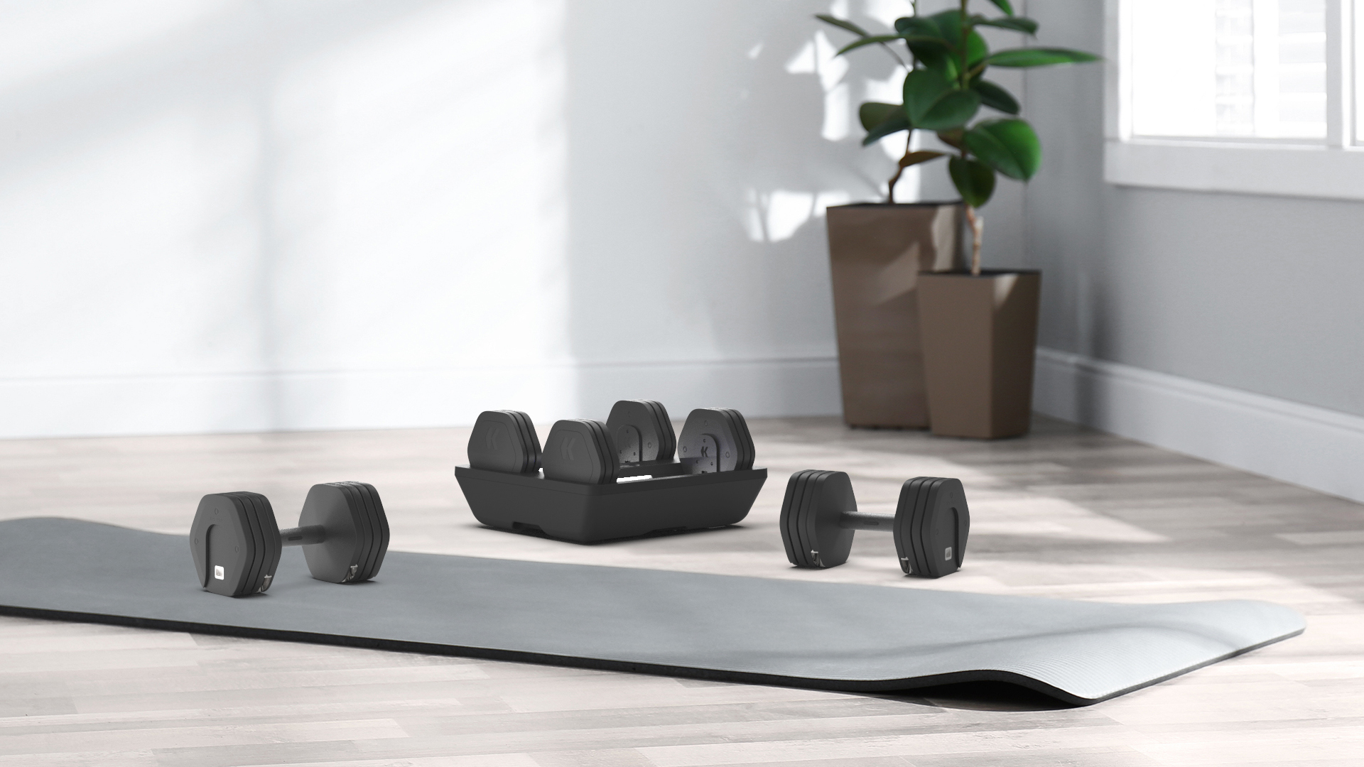KABATA FITNESS – Pulse Design Group – Product Design